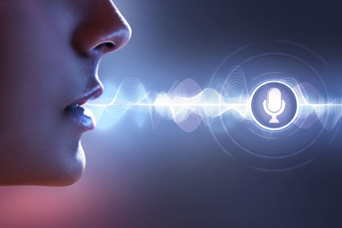 BING Introduces New Voice for Enhanced Search Experience